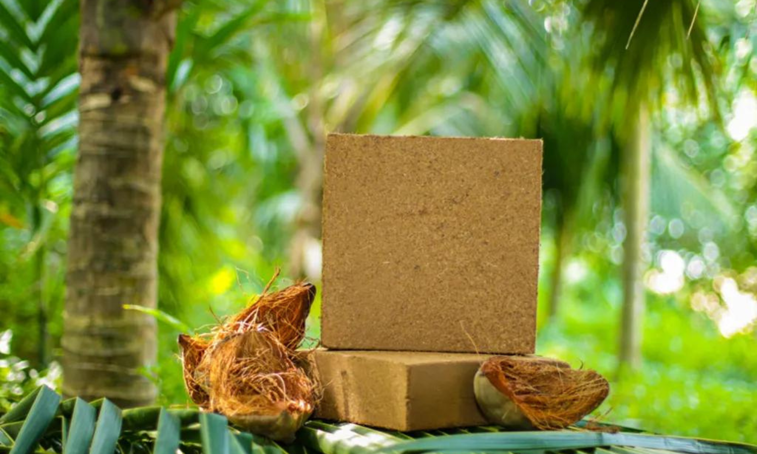 Products - V.T. Impex LLP